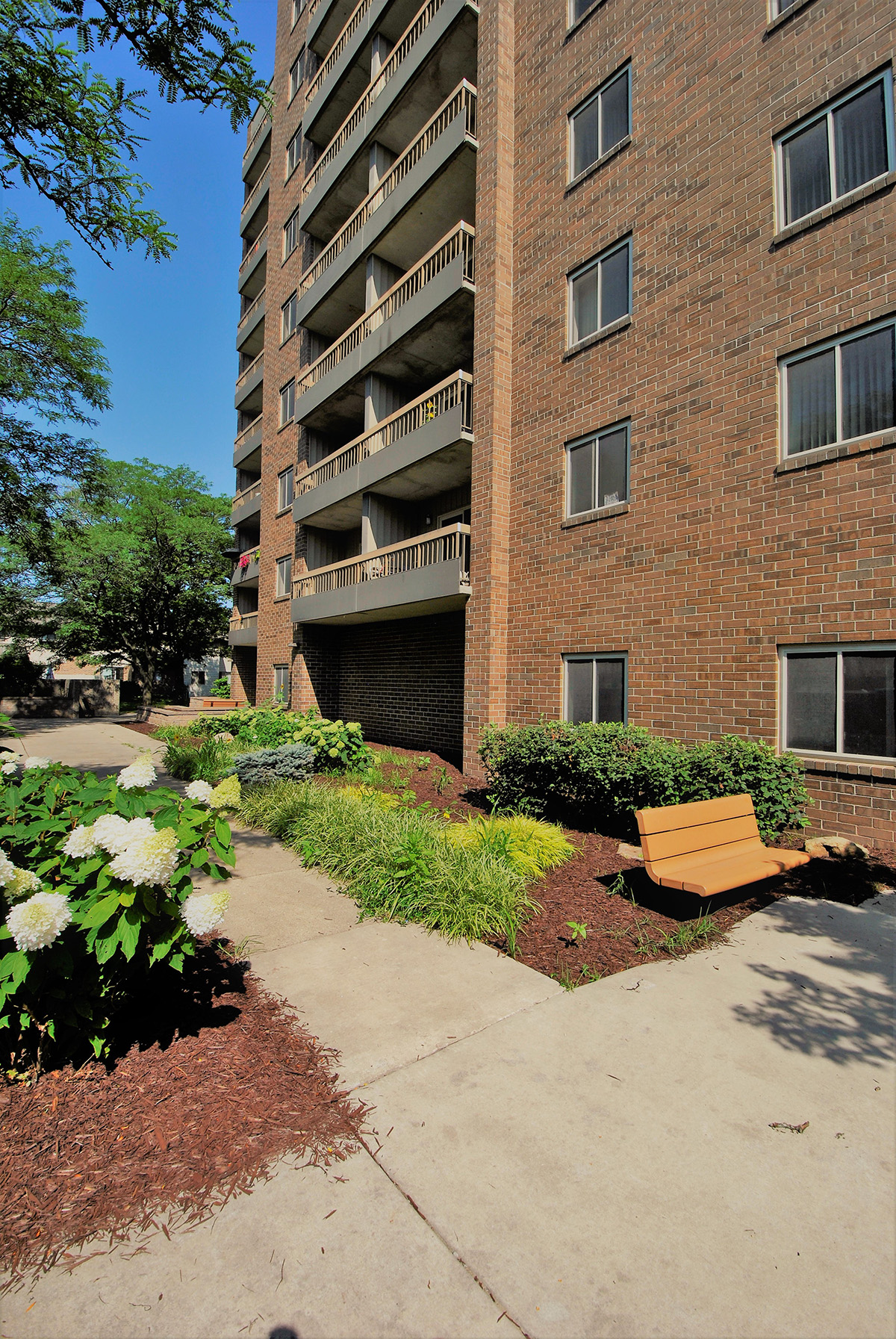 Gallery - Capitol Commons Senior